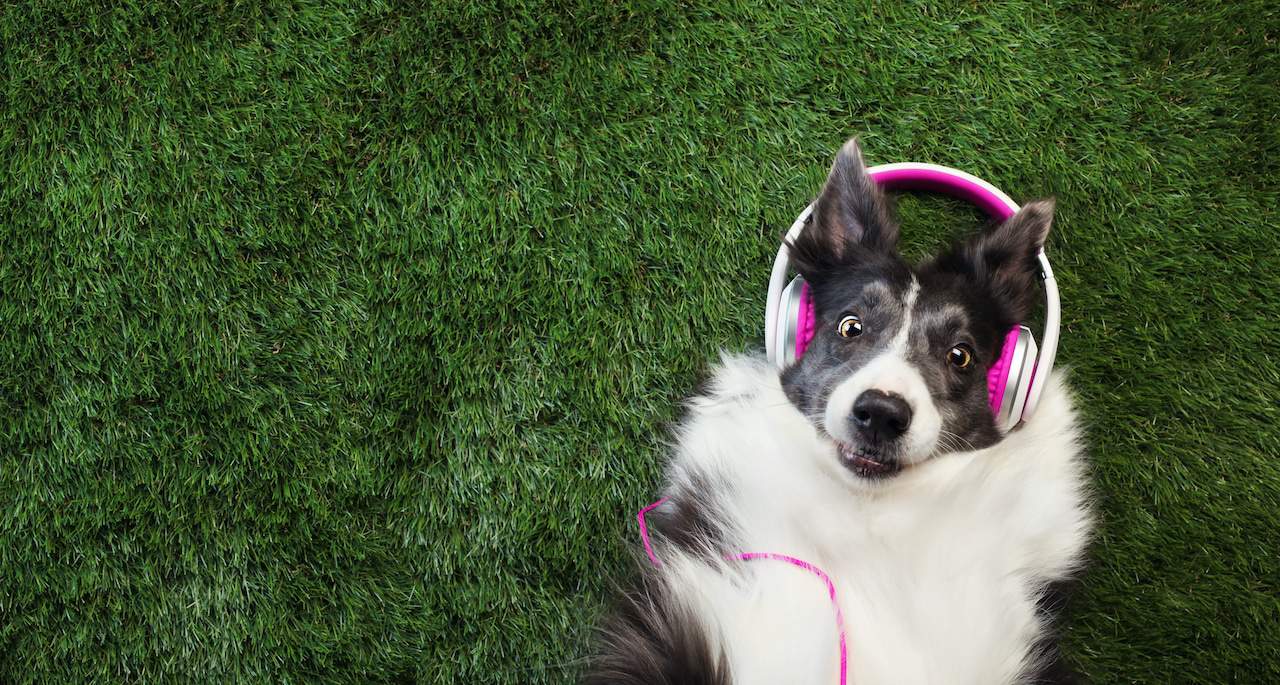 How to Intensify Your Focus and Be More Productive with the 52/17 Split ...